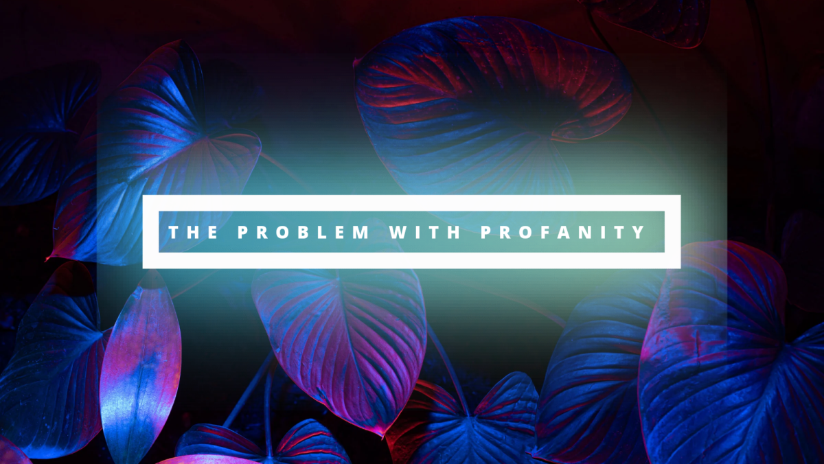 The Problem with Profanity | Seeking Prose